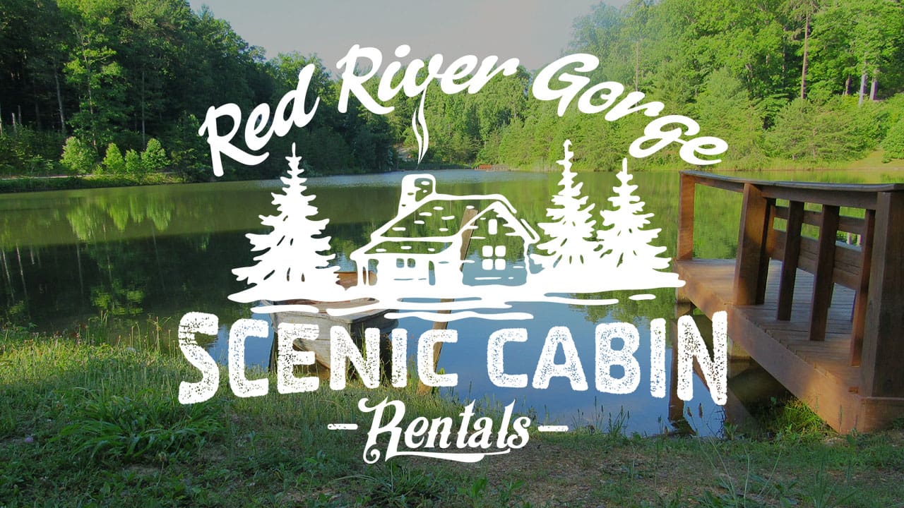Cabin of the Month: Bearcat Ridge | Scenic Cabin Rentals